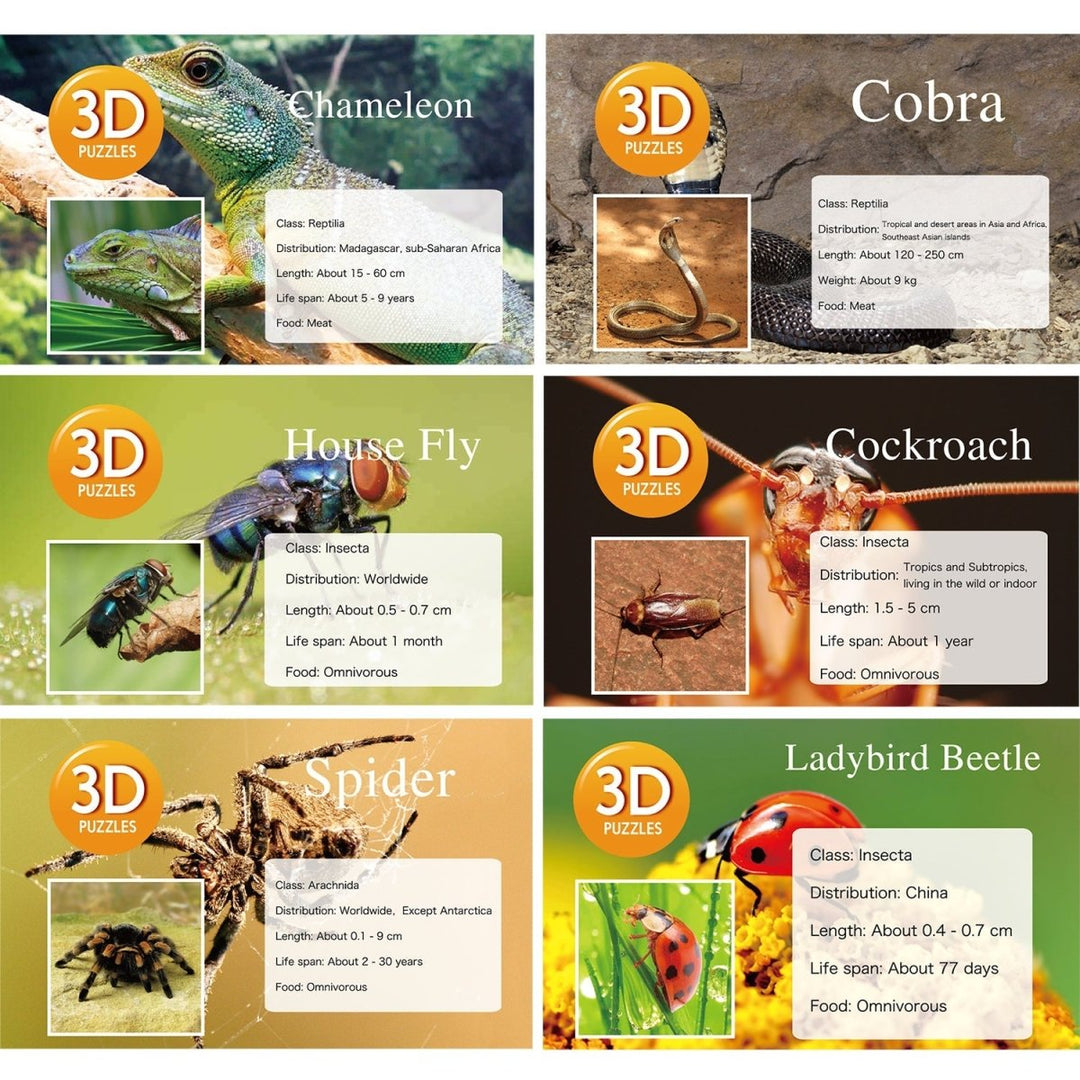 6 Pack 3D Insect Puzzle | Fun Little Toys – funlittletoys